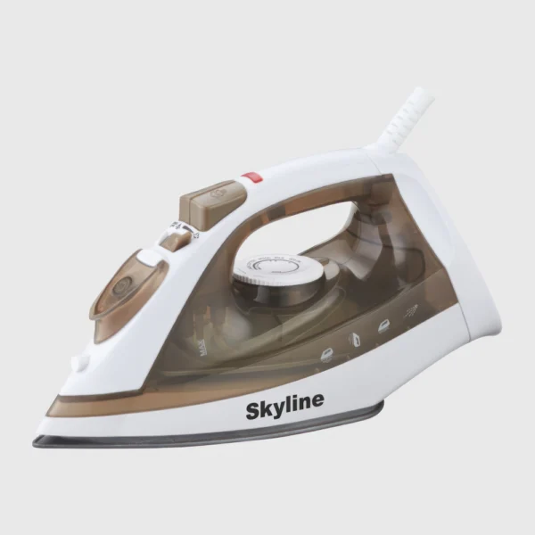STEAM & SPRAY IRON WITH BURST FUNCTION - The Surprise Box